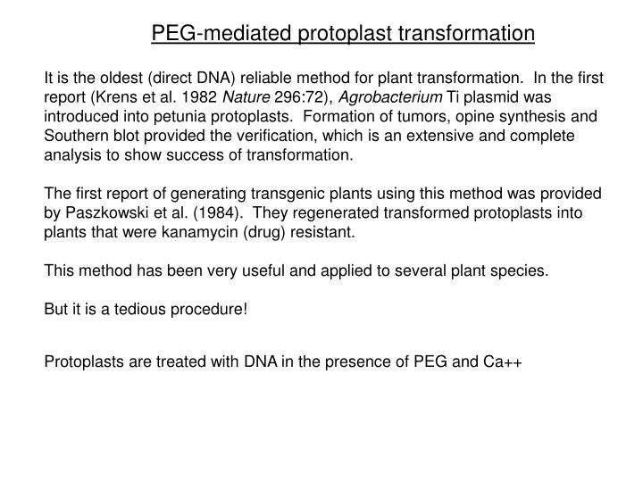 PPT - Plant transformation based on direct DNA delivery Polyethylene ...