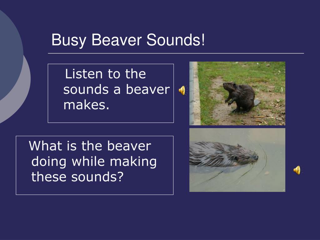 PPT - Two Rivers Wildlife Park presents: The Senses and Living Things ...