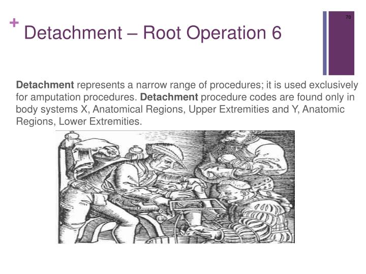 PPT - Introduction to ICD-10 PCS PowerPoint Presentation - ID:826011