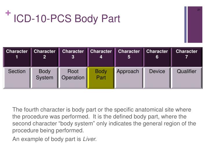 PPT - Introduction to ICD-10 PCS PowerPoint Presentation - ID:826011