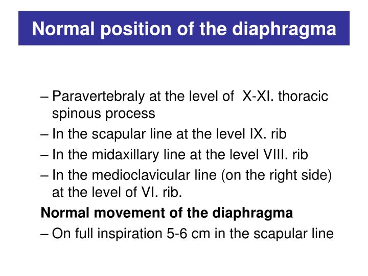 PPT - Techniques of examination of the thorax and lungs PowerPoint ...