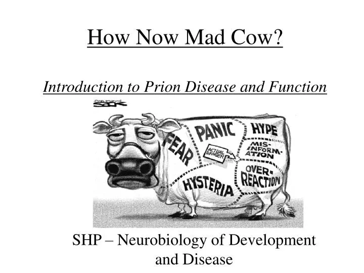 Ppt How Now Mad Cow Introduction To Prion Disease And Function Powerpoint Presentation Id