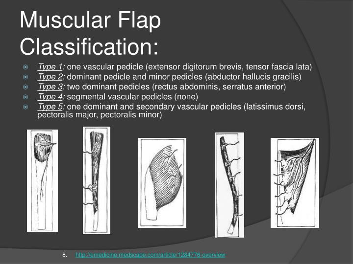 PPT - Plastic Surgery Techniques in Podiatry PowerPoint Presentation ...
