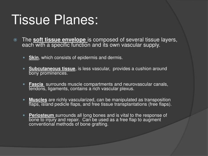 PPT - Plastic Surgery Techniques in Podiatry PowerPoint Presentation ...
