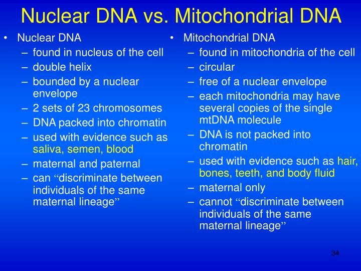 PPT - Dr. Kwok Cheong CHUNG Department of Biology The Chinese ...