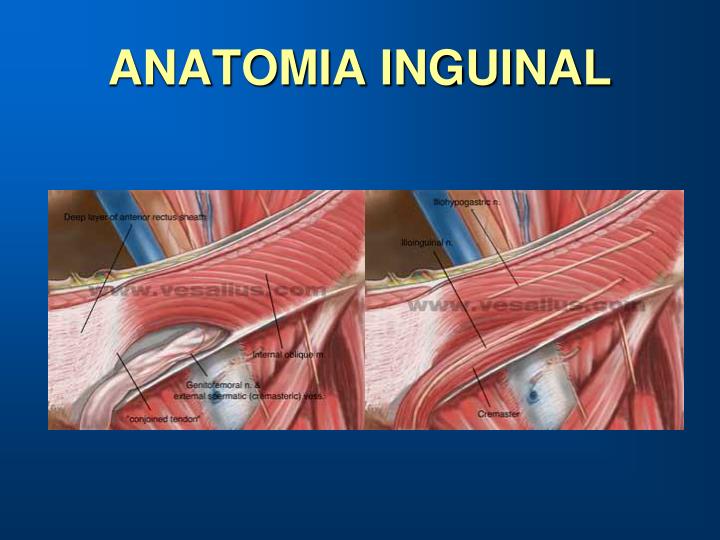 PPT - DEPARTAMENTO DE CIRUGÍA Pontificia Universidad Javeriana Hospital ...