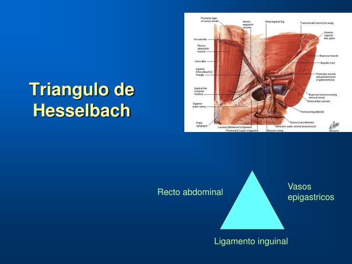 PPT - DEPARTAMENTO DE CIRUGÍA Pontificia Universidad Javeriana Hospital ...