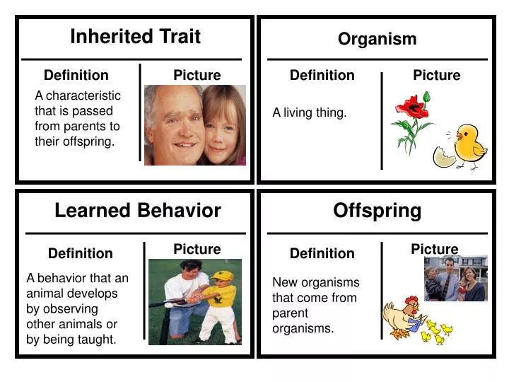 Traits Examples