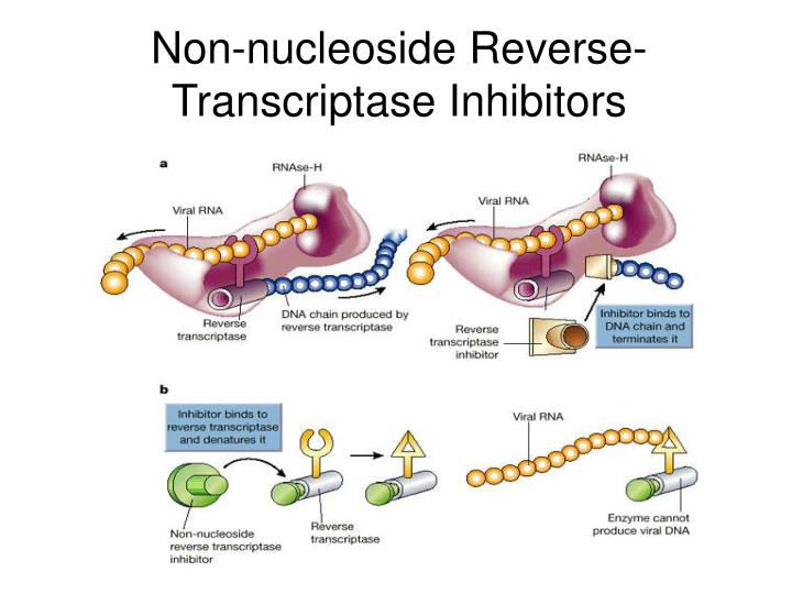 PPT - Structural Biology of HIV PowerPoint Presentation - ID:827294