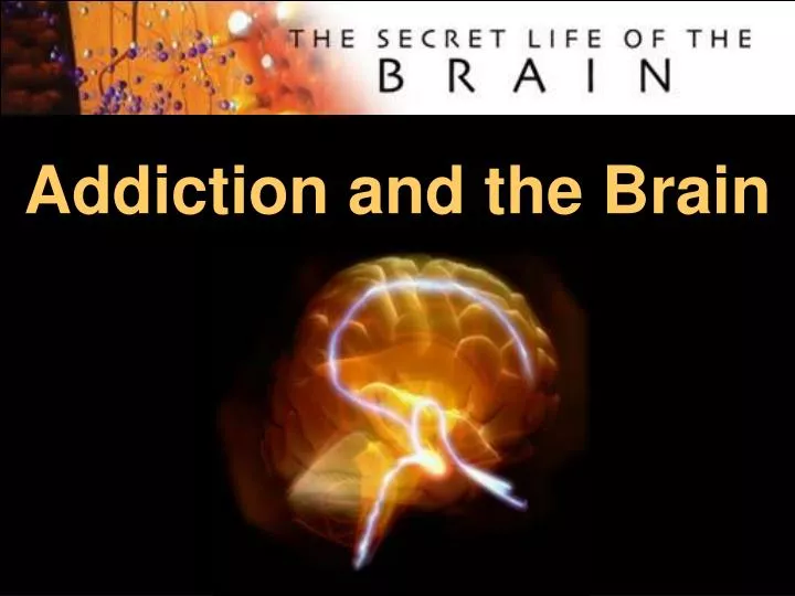 PPT - Addiction and the Brain PowerPoint Presentation, free download ...
