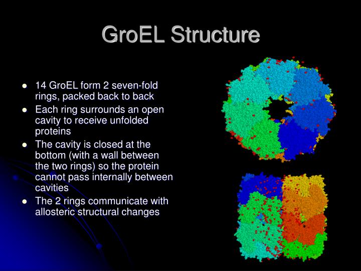PPT - GroEL and GroES PowerPoint Presentation - ID:829185