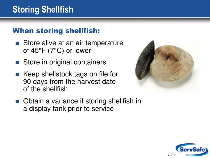 PPT - The Flow of Food: Storage PowerPoint Presentation - ID:829854