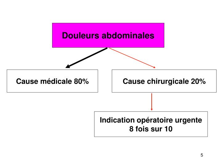 PPT - Douleur abdominale et urgence PowerPoint Presentation - ID:829866