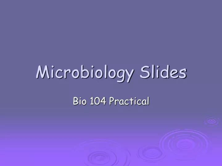 PPT - Microbiology Slides PowerPoint Presentation, free download - ID ...