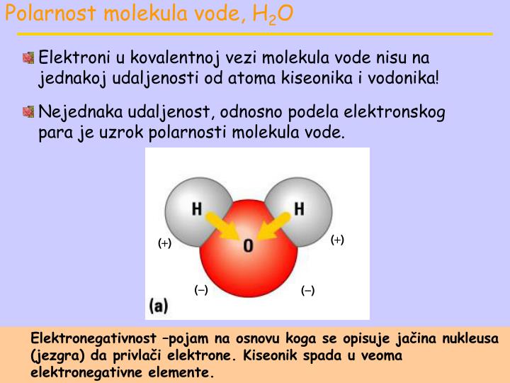 PPT - VODA I ŽIVOT PowerPoint Presentation - ID:830461
