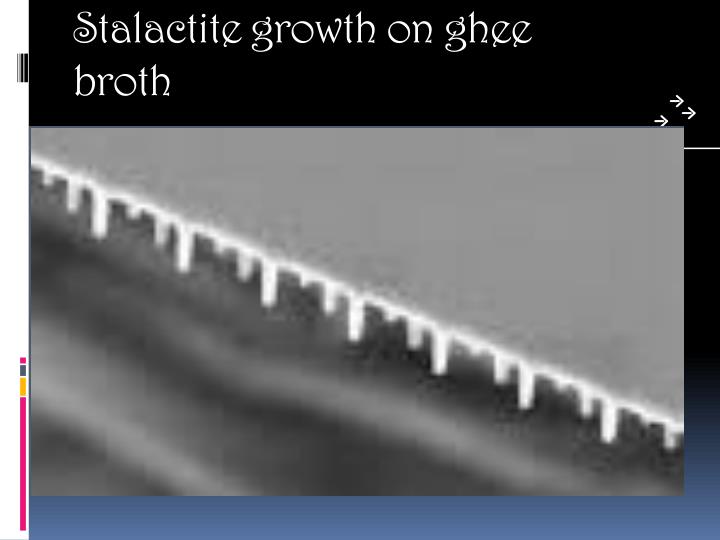 PPT - Yersinia Pasteurella Francisella PowerPoint Presentation - ID:830561