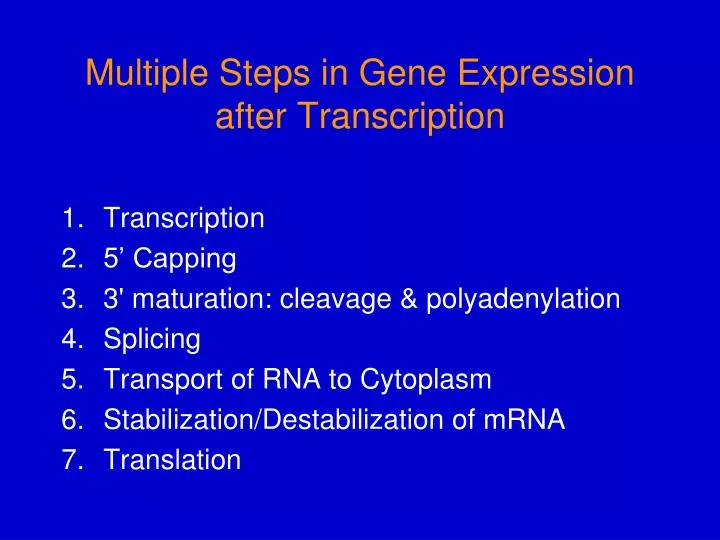 PPT - Multiple Steps in Gene Expression after Transcription PowerPoint ...
