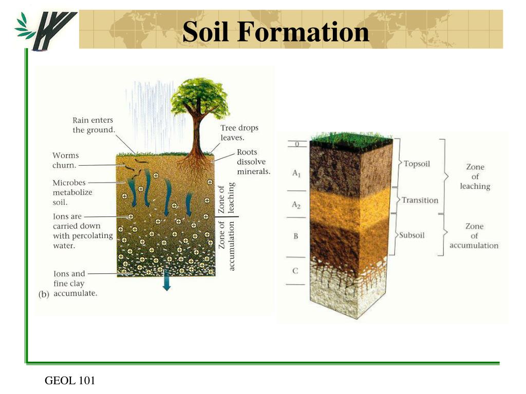 Factors Of Soil Formation Soil Lettering Image - vrogue.co Factors Of Soil Formation Soil Lettering Image - vrogue.co