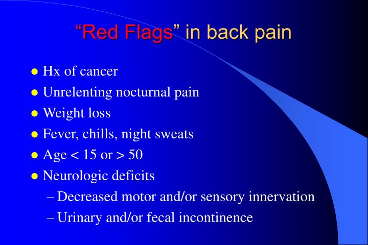 PPT - Anatomy and Physical Examination of the Lower Back PowerPoint ...