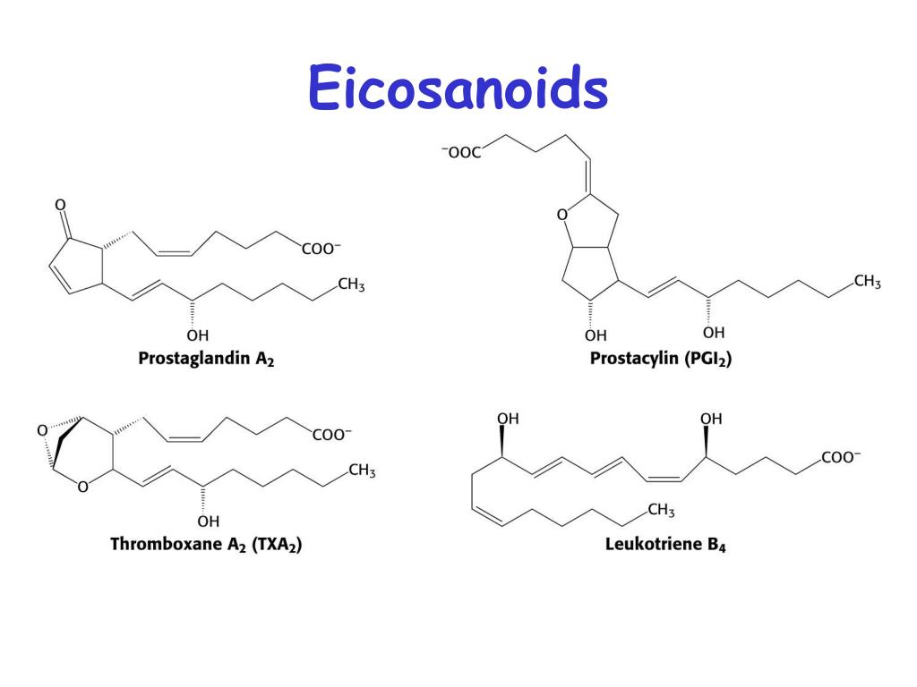 PPT - Synthesis of Eicosanoids, Glycerolipids and Isoprenoids ... PPT - Synthesis of Eicosanoids, Glycerolipids and Isoprenoids ...