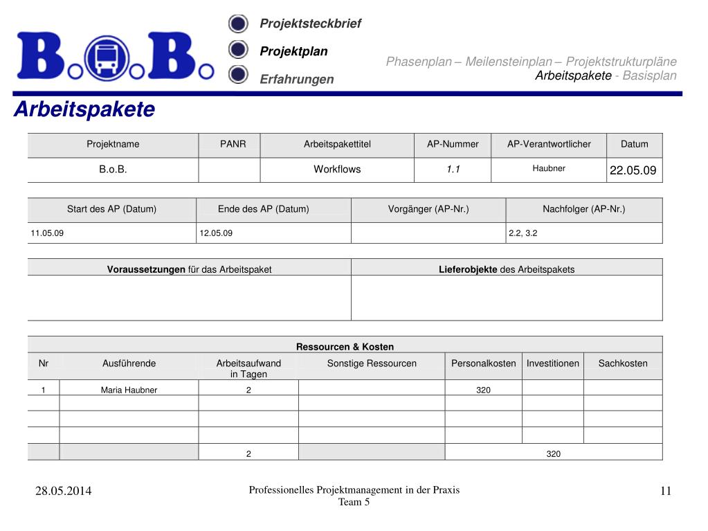 PPT - Professionelles Projektmanagement In der Praxis PowerPoint ...