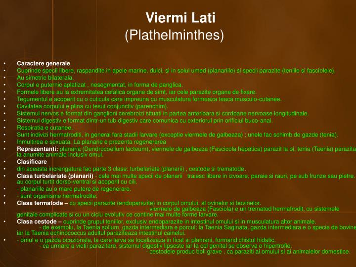 PPT - Viermii PowerPoint Presentation - ID:833486