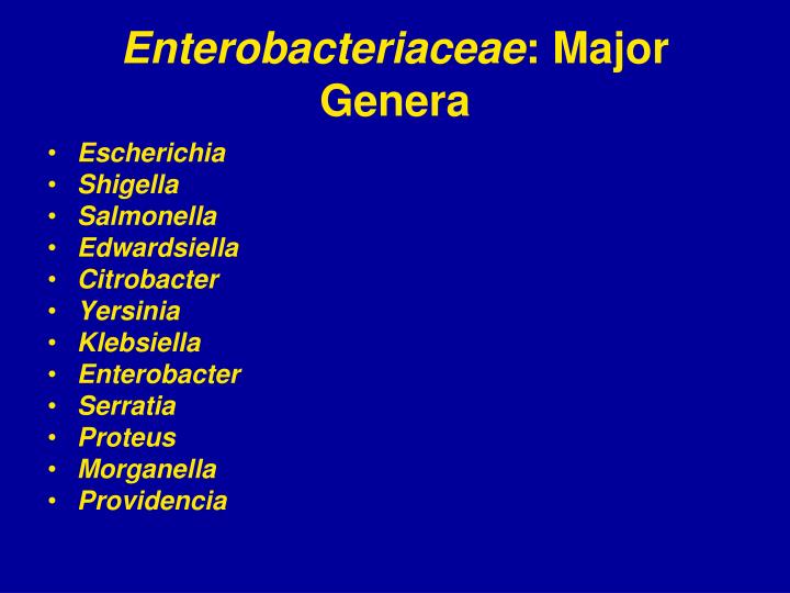 PPT - The Enterobacteriaceae Basic Properties PowerPoint Presentation ...