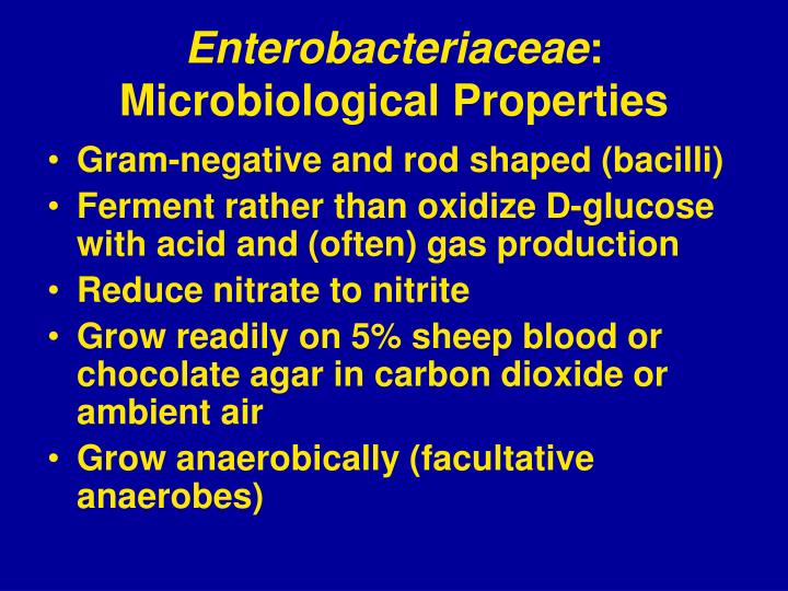 PPT - The Enterobacteriaceae Basic Properties PowerPoint Presentation ...