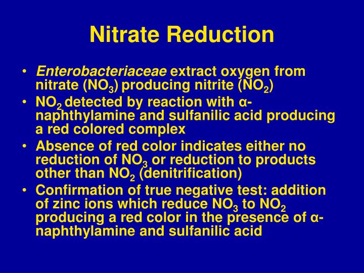 PPT - The Enterobacteriaceae Basic Properties PowerPoint Presentation ...