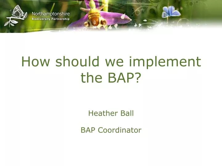 PPT - How should we implement the BAP? PowerPoint Presentation, free ...
