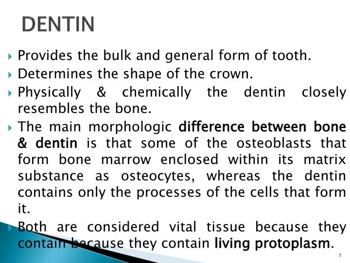 PPT - DENTIN PowerPoint Presentation - ID:835637