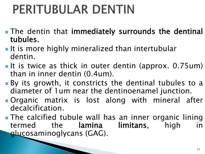 PPT - DENTIN PowerPoint Presentation - ID:835637