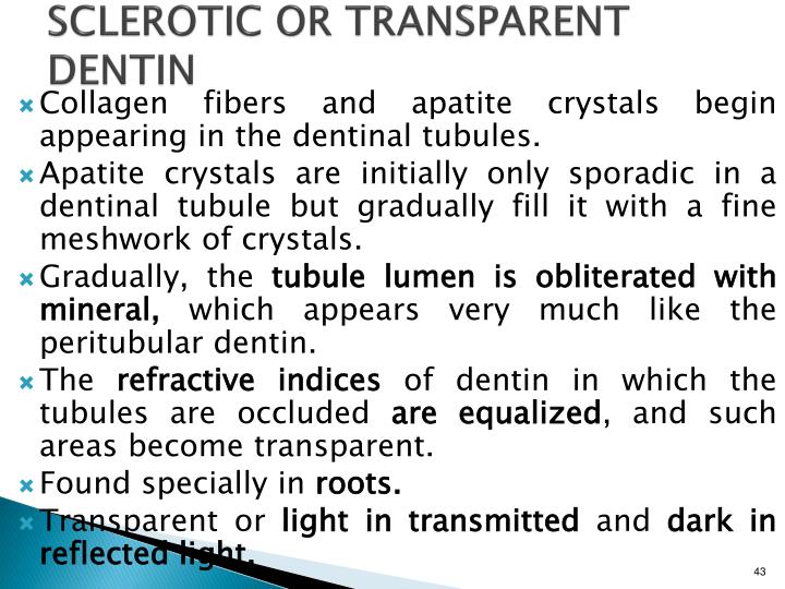 PPT - DENTIN PowerPoint Presentation - ID:835637