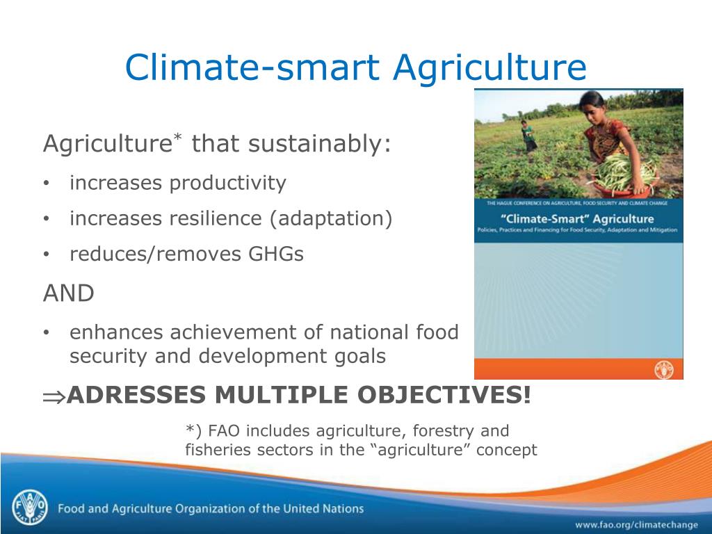 PPT - Climate-smart agriculture for food security PowerPoint ...