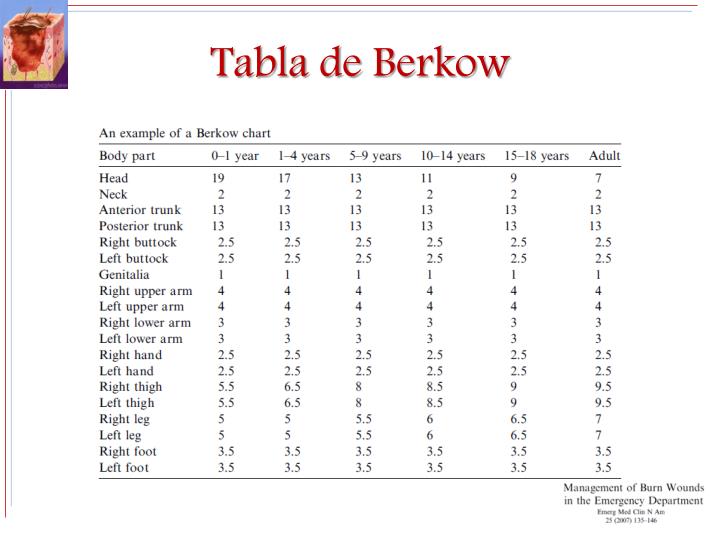 PPT - Quemaduras Térmicas PowerPoint Presentation - ID:837580