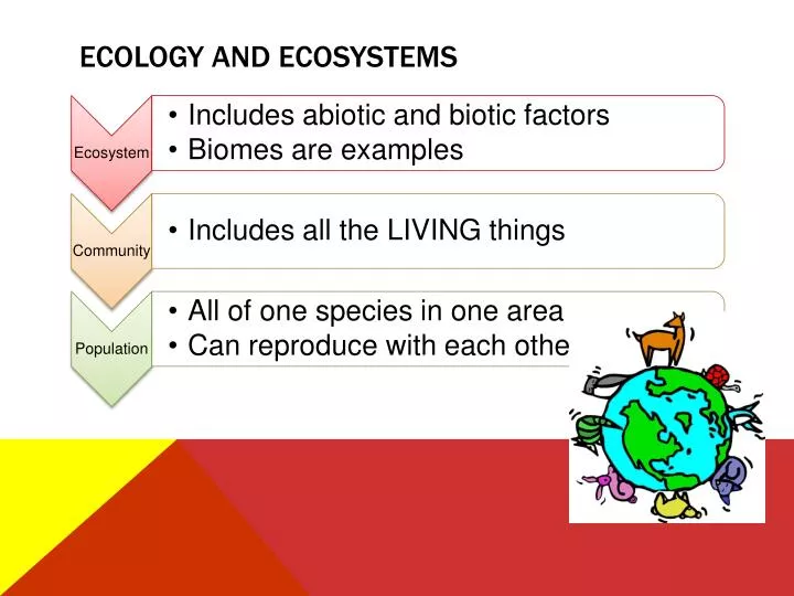 PPT - ECOLOGY AND ECOSYSTEMS PowerPoint Presentation, free download ...