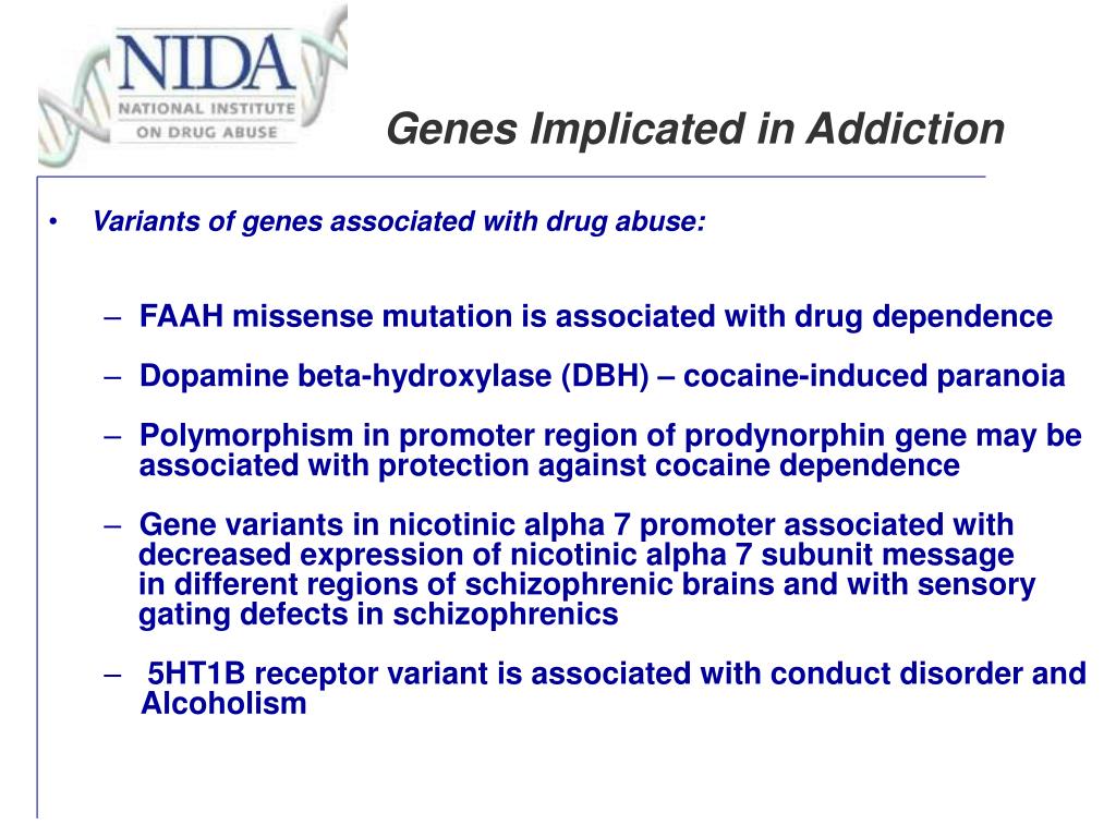 PPT - Genetics & Addiction Jonathan D. Pollock, Ph.D. Division of ...