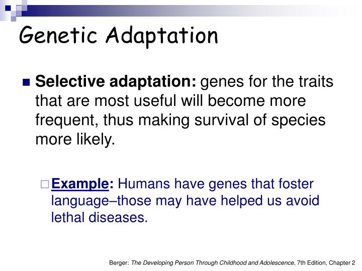 PPT - Theories of Development PowerPoint Presentation - ID:840018