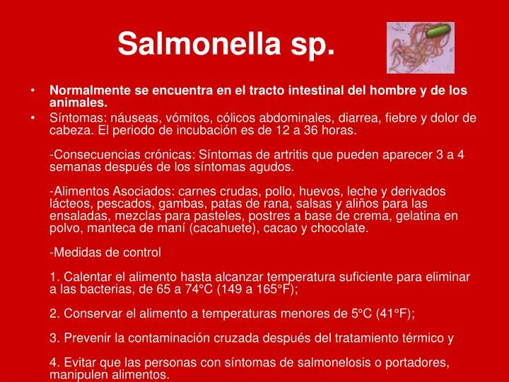 PPT - Salmonella sp. PowerPoint Presentation, free download - ID:840378