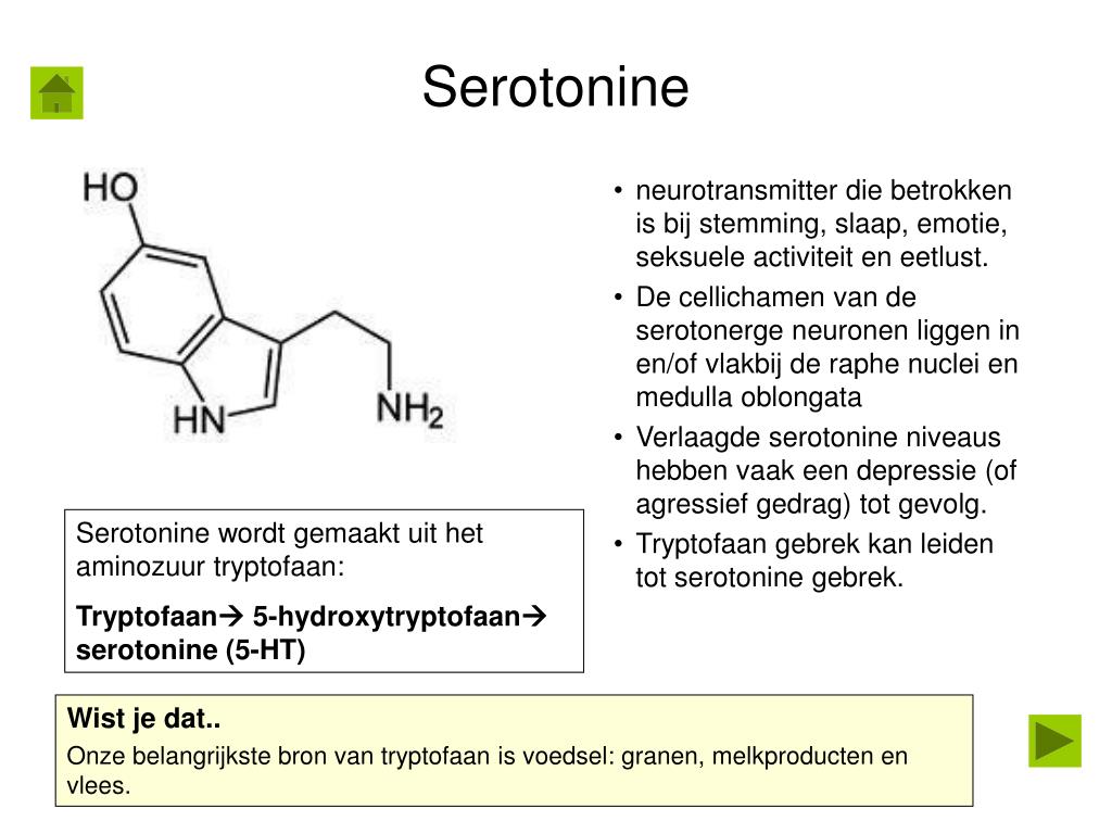 PPT - Onderwerpen Dopaminerge systeem Dopamine Substantia nigra Ziekte ...