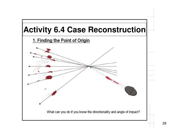 PPT - Lesson 6 Blood Spatter Analysis PowerPoint Presentation - ID:840729