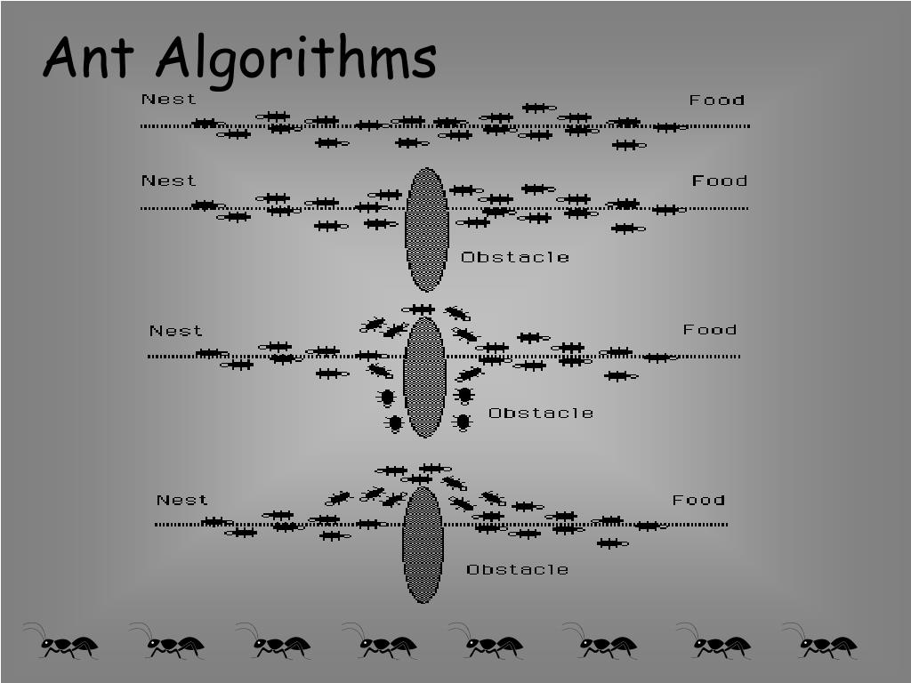 Ppt Ant Colony Optimization Powerpoint Presentation Free Download