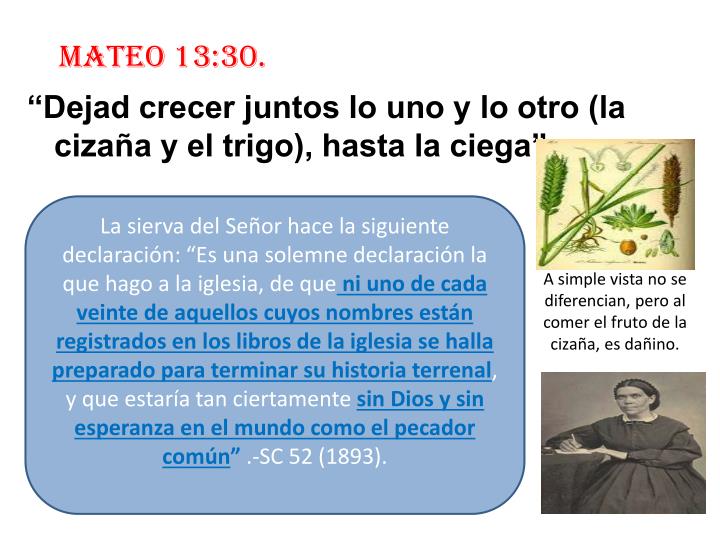 PPT - El zarandeo PowerPoint Presentation - ID:844064