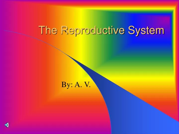 PPT - The Reproductive System PowerPoint Presentation, free download ...