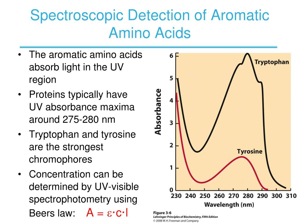 Ppt Chapter 3 Amino Acids Peptides Proteins Powerpoint Presentation Id844814