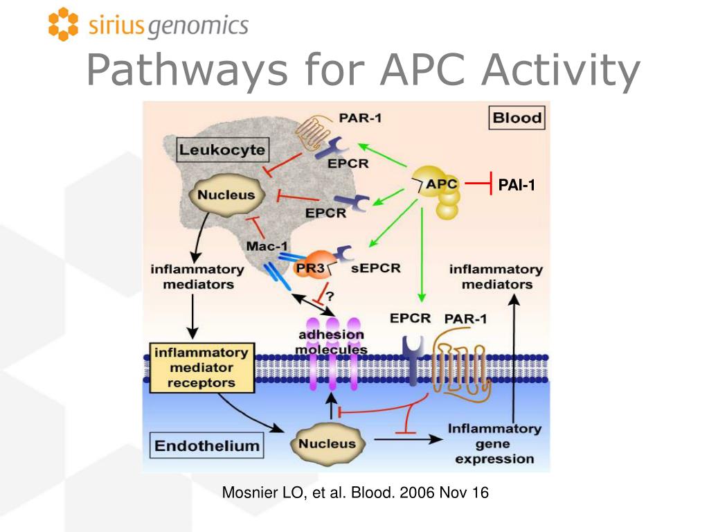 PPT - Personalized Medicine in the ICU Asim Siddiqui Sirius Genomics ...