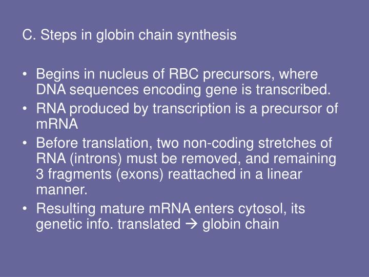 PPT - Globular Proteins PowerPoint Presentation - ID:845336