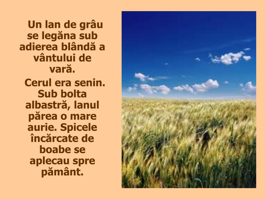 PPT - SPICUL DE GRÂU ŞI PLEAVA după Alexandru Mitru PowerPoint ...