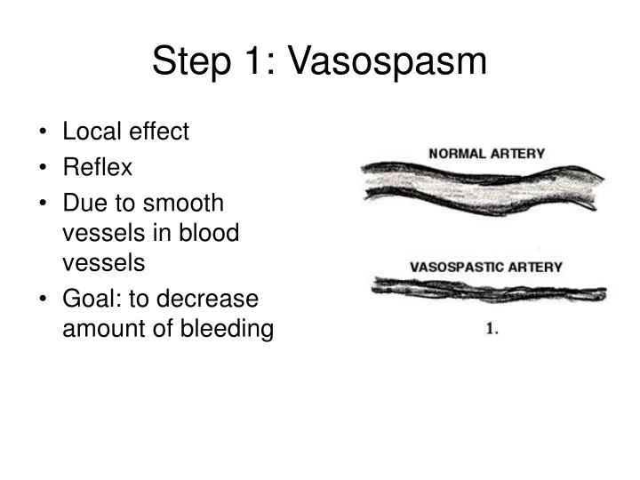 PPT - BLOOD PowerPoint Presentation - ID:848210