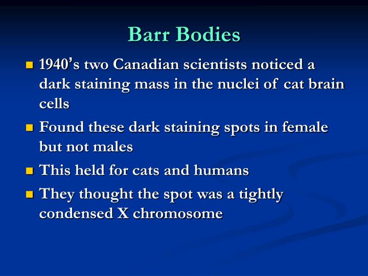 PPT - Sex chromatin bodies Barr body PowerPoint Presentation - ID:850138